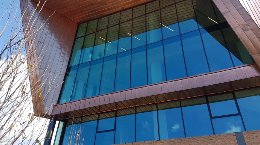 The Glucksman Library - Carey Glass