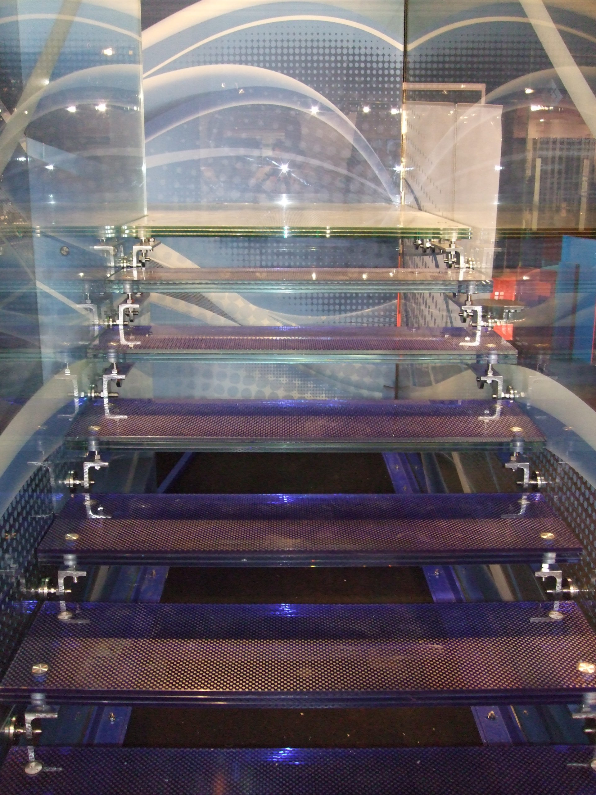 All Eyes on the Fit Show This Week! - Carey Glass